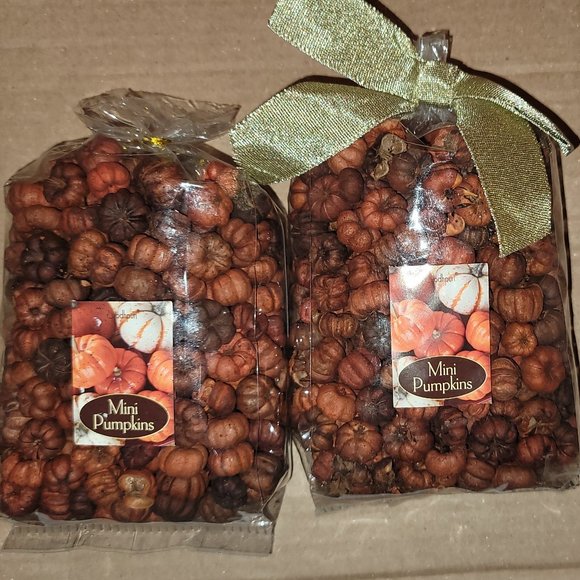 Jodhpurl | Holiday | 2 Packages Of Decorative Mini Pumpkins | Poshmark